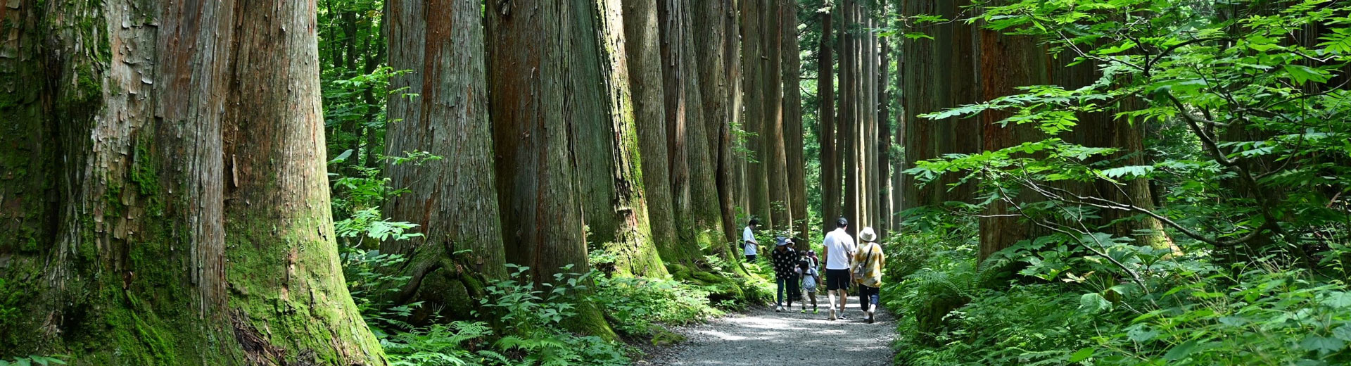 Nagano: El Japón más tradicional | Destinos Asiaticos