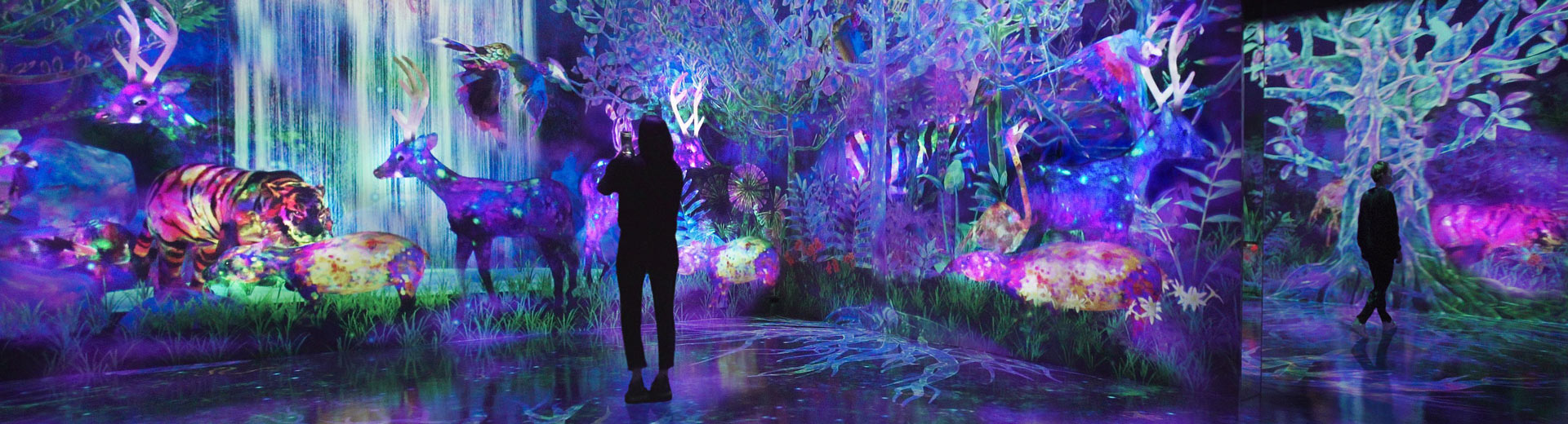 TeamLab Borderless: el Museo de Arte Digital del edificio Mori en Tokyo ...