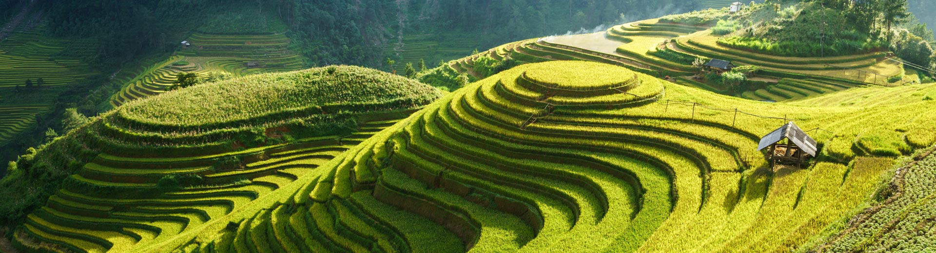 Viajes a Asia y Oceania: organizados y a medida | Destinos Asiáticos